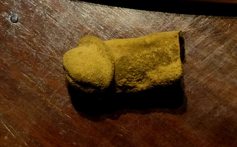 Surnateum